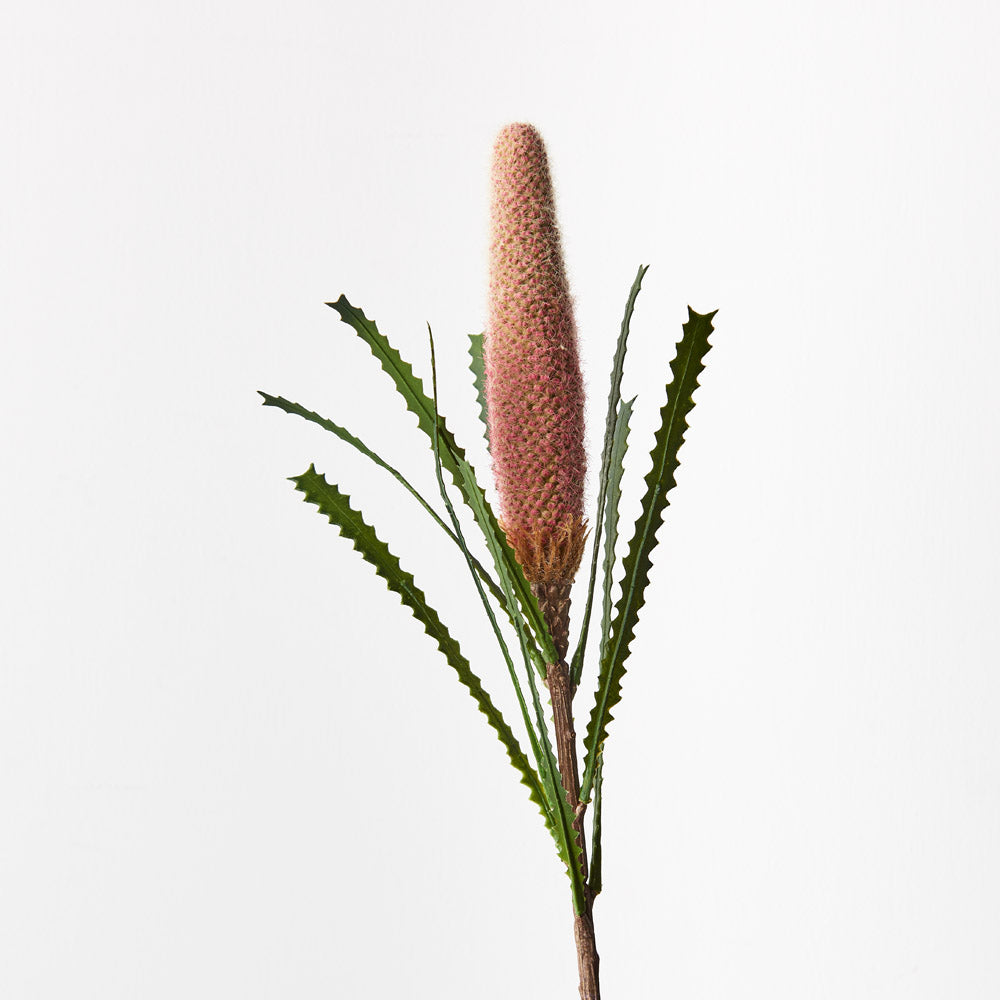 Artificial Banksia Pencil Cone Pink 73cm Set of 12 — Flora Designs ...