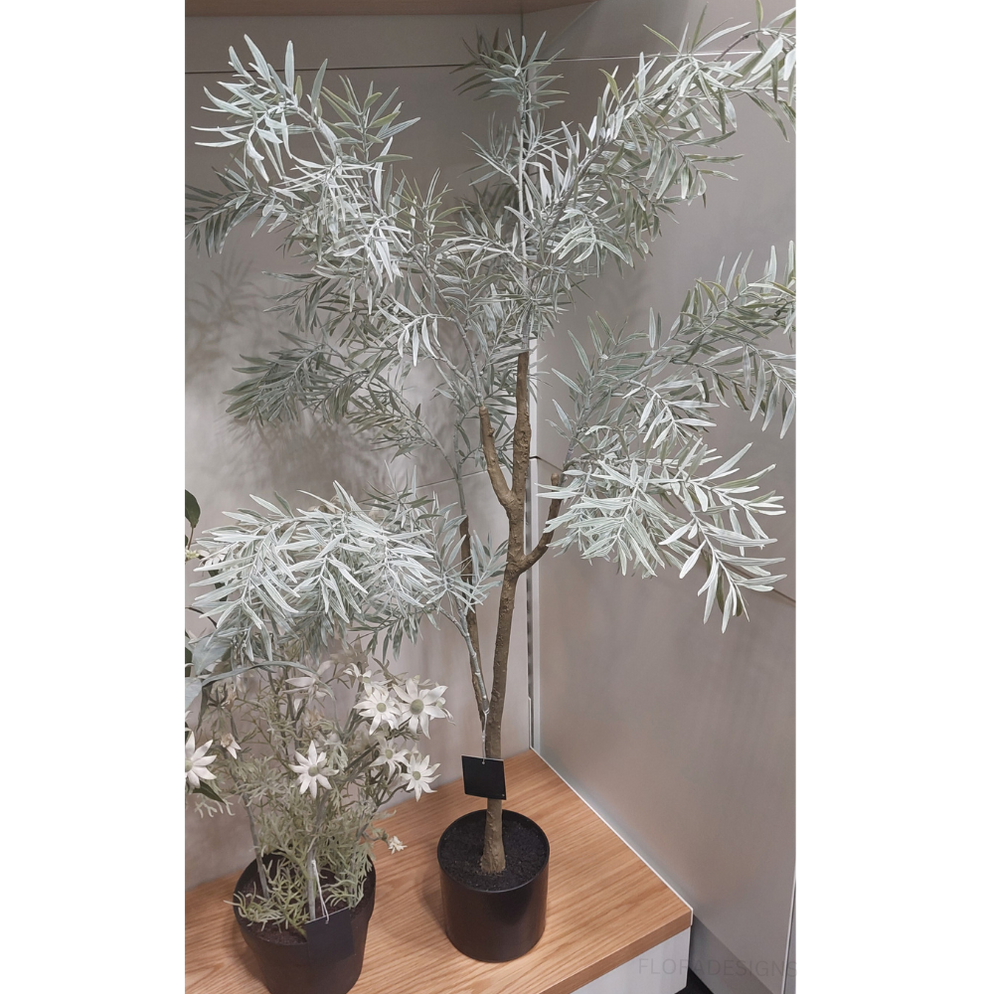 Artificial Acacia Tree Grey 122cm Set of 2 — Flora Designs Australia