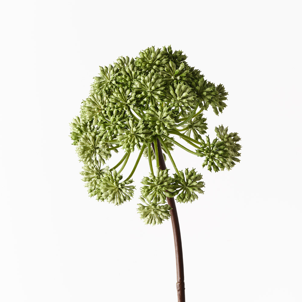 Angelica Green 98cm - Pack of 6 — Flora Designs Australia