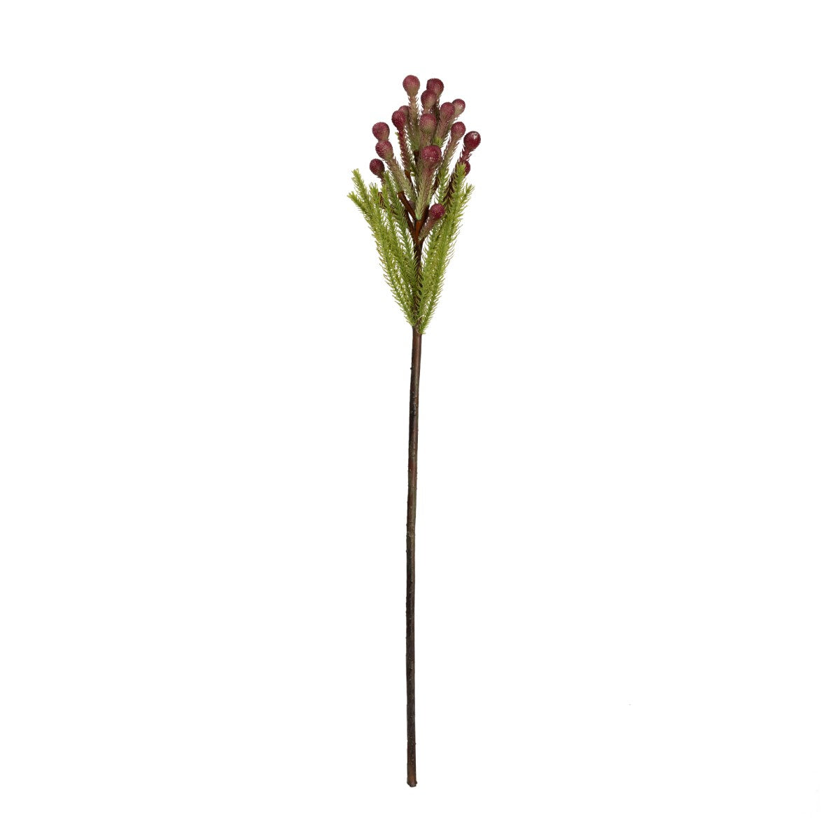 Artificial Brunia Branch Red Real Touch 60cm Red Set of 12 — Flora ...