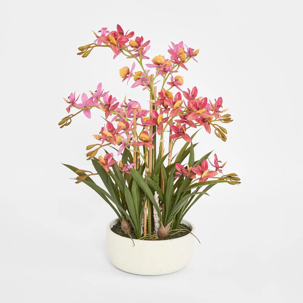 Artificial Deluxe Potted Cycnoches Orchid Pink 75cm — Flora Designs ...