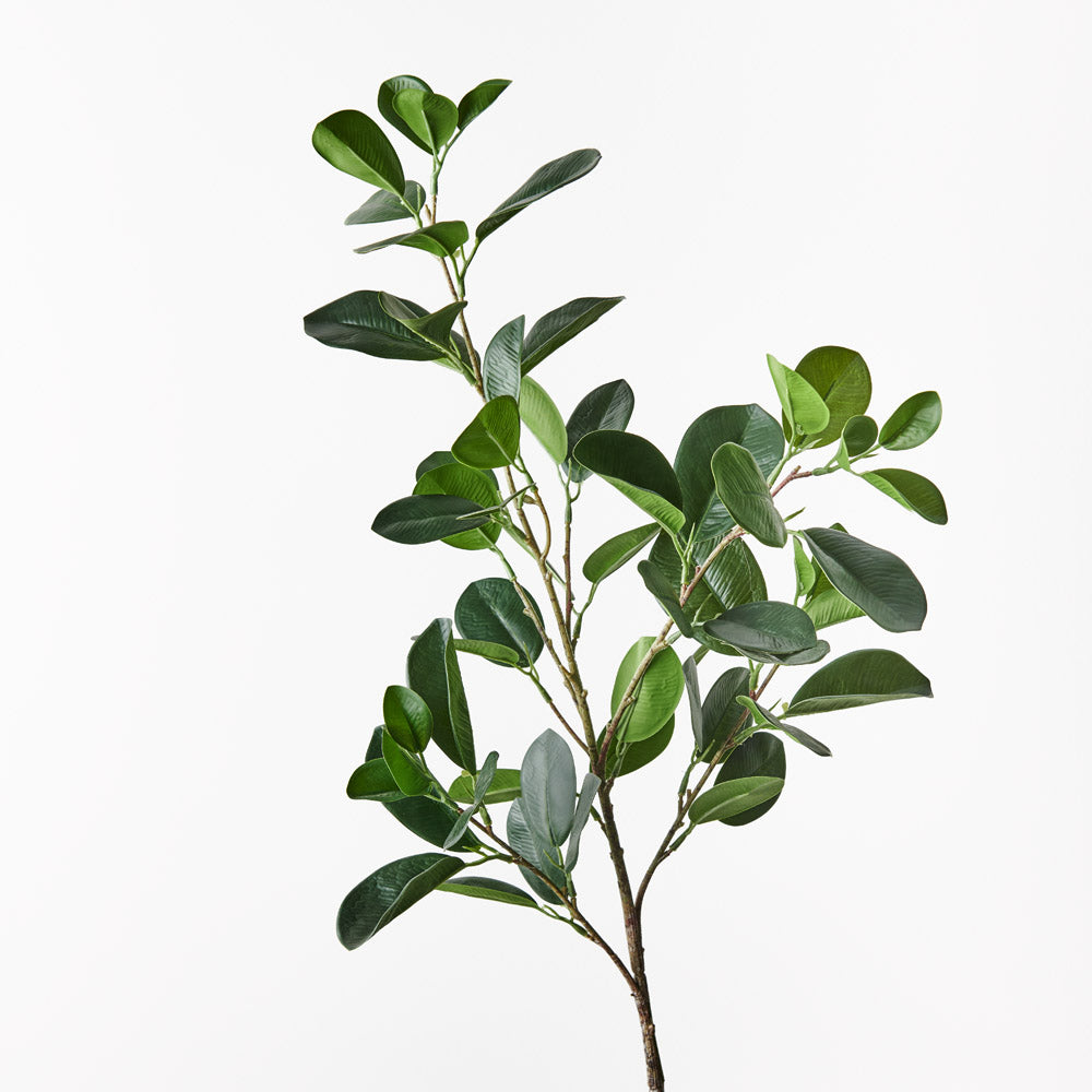 Artificial Ficus Microcarpa Spray 89cm Green Pack of 12 — Flora Designs ...