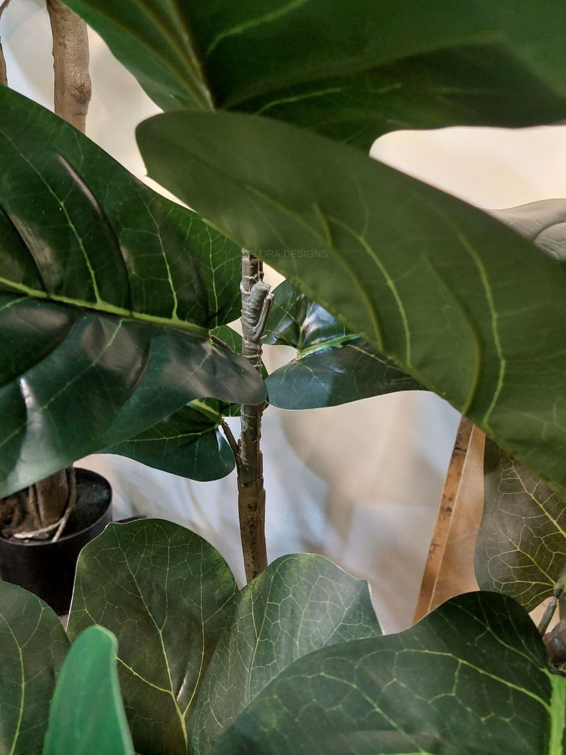 Artificial Giant Fiddle Fig Leaf Tree 180Cm — Flora Designs Australia