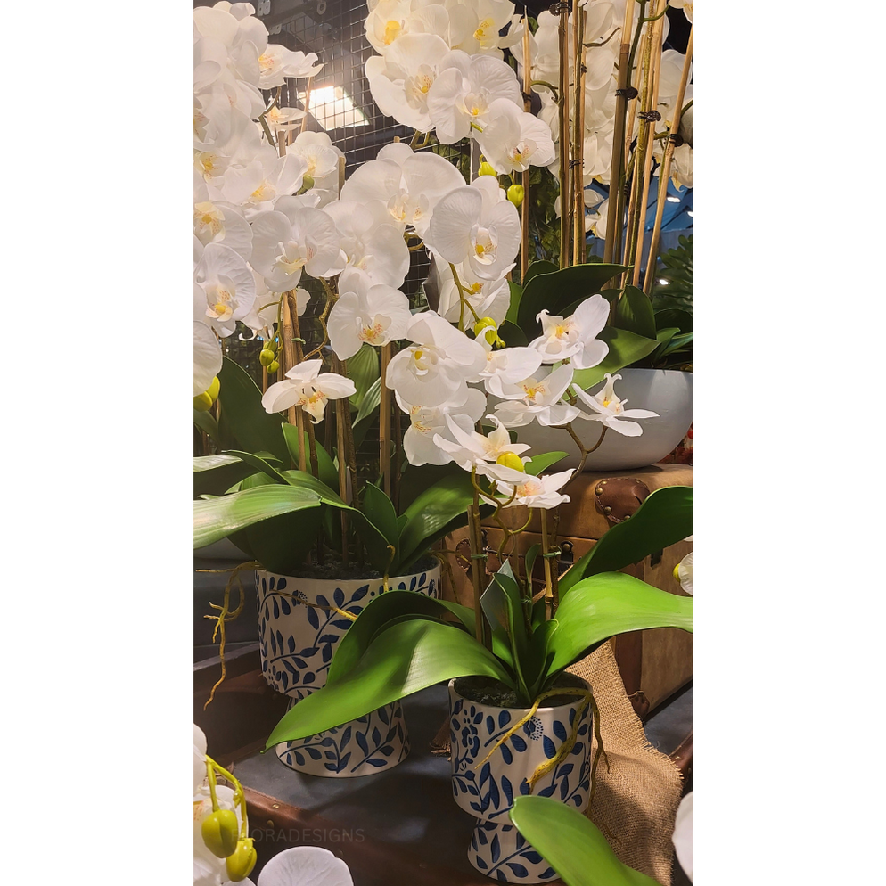 Artificial Orchid in Hampton Vase 83cm — Flora Designs Australia