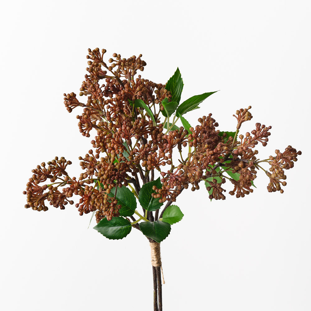 Sedum Bouquet Brown 38cm - Pack of 12 — Flora Designs Australia