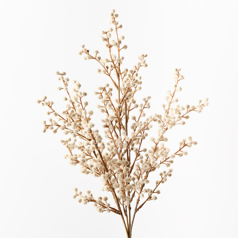 Wattle Spray Natural 48cm - Pack of 12 — Flora Designs Australia