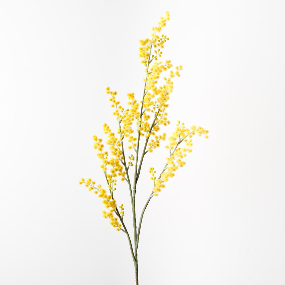 Wattle Spray Yellow 99cm - Pack of 12 — Flora Designs Australia
