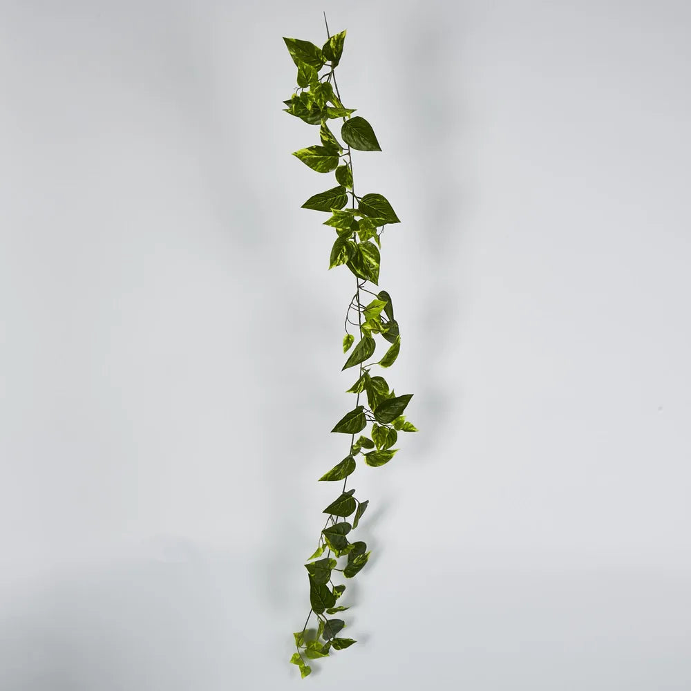 Artificial Pothos Garland Yellow 152cm – Pack Of 6 — Flora Designs ...