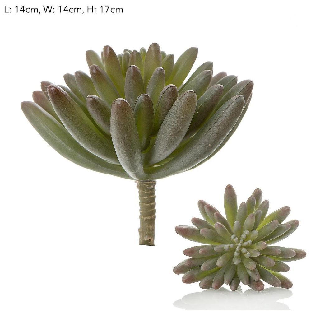 Artificial Succulent Spray Burgundy 17cm Pack of 12 — Flora Designs ...
