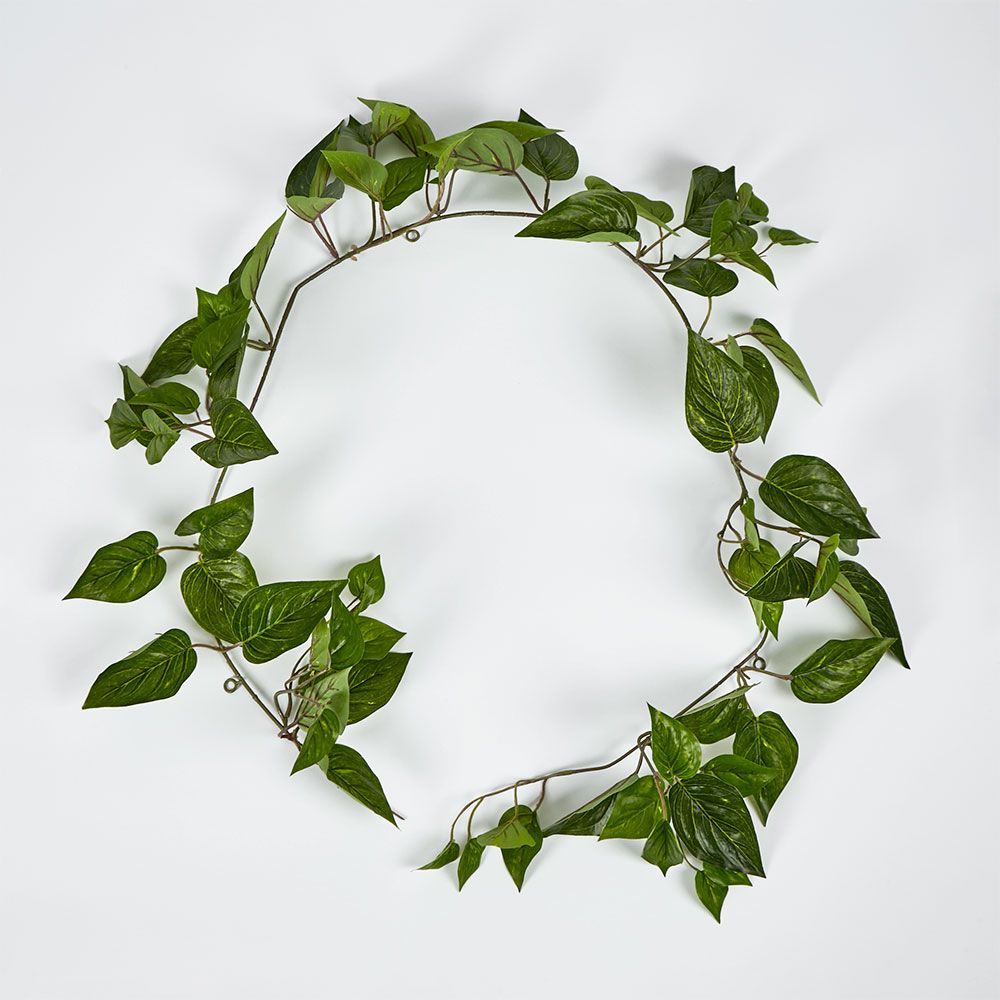 Artificial Pothos Garland Green 152cm – Pack Of 6 — Flora Designs Australia