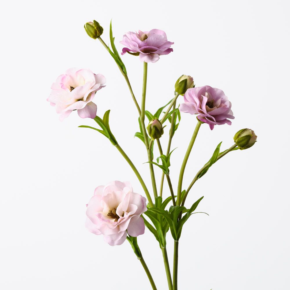 Artificial Ranunculus Spray Lavender 72cm — Flora Designs Australia