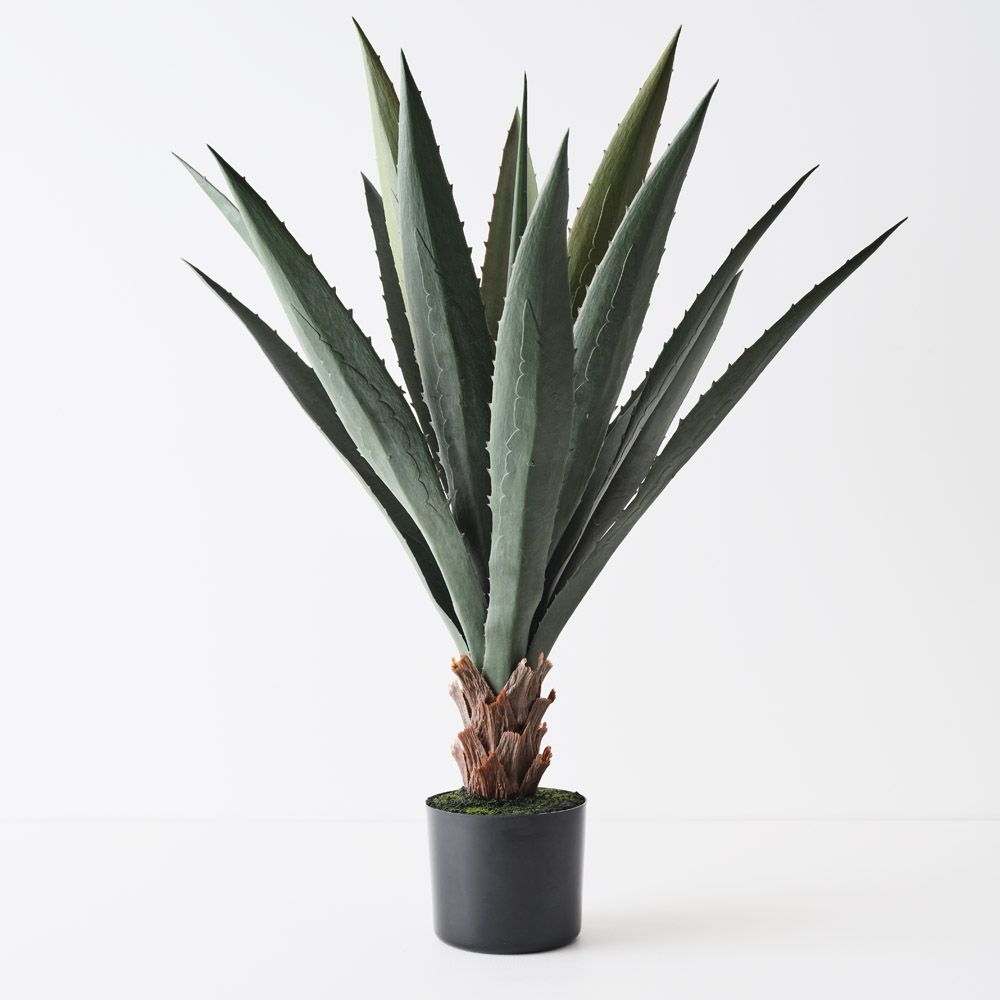 Artificial Agave Plant Grey Green 80cm — Flora Designs Australia