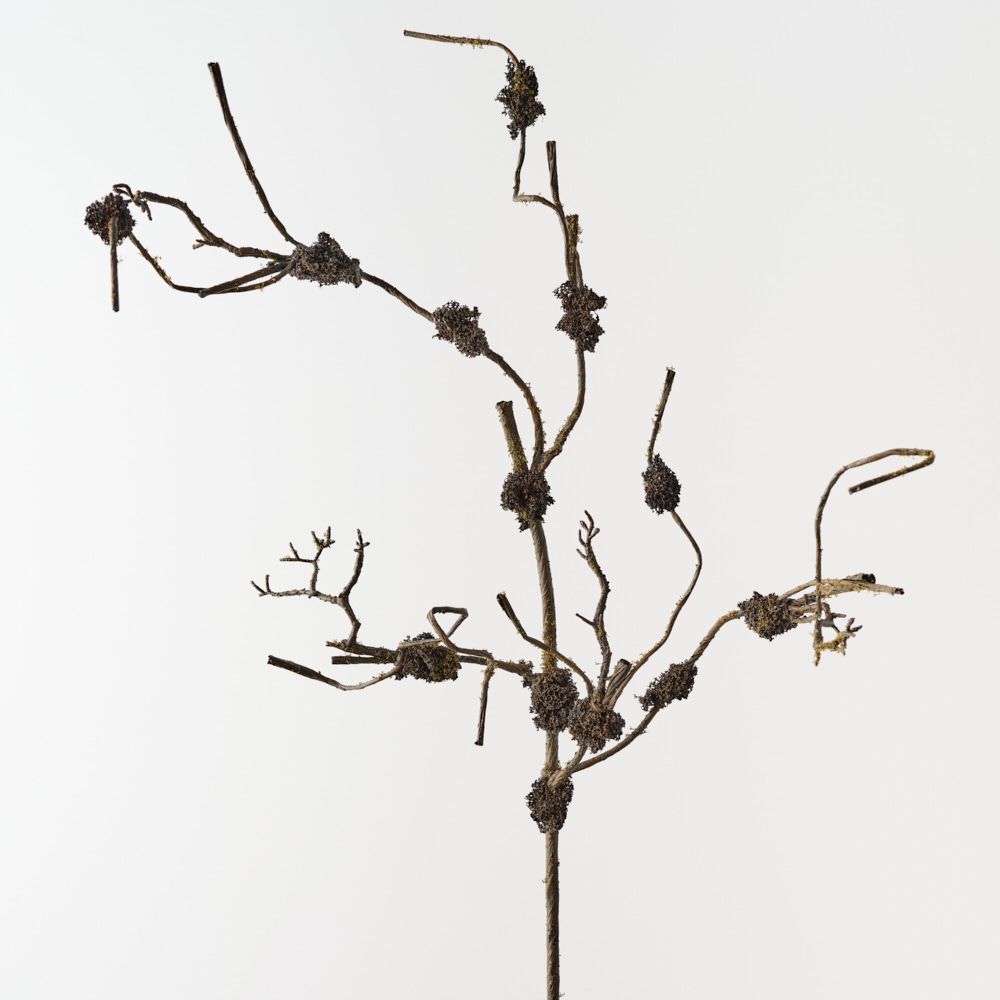 Buy Twig Moss Branch 118cm Brown - Pack of 6 | Premium Evergreen Decor ...