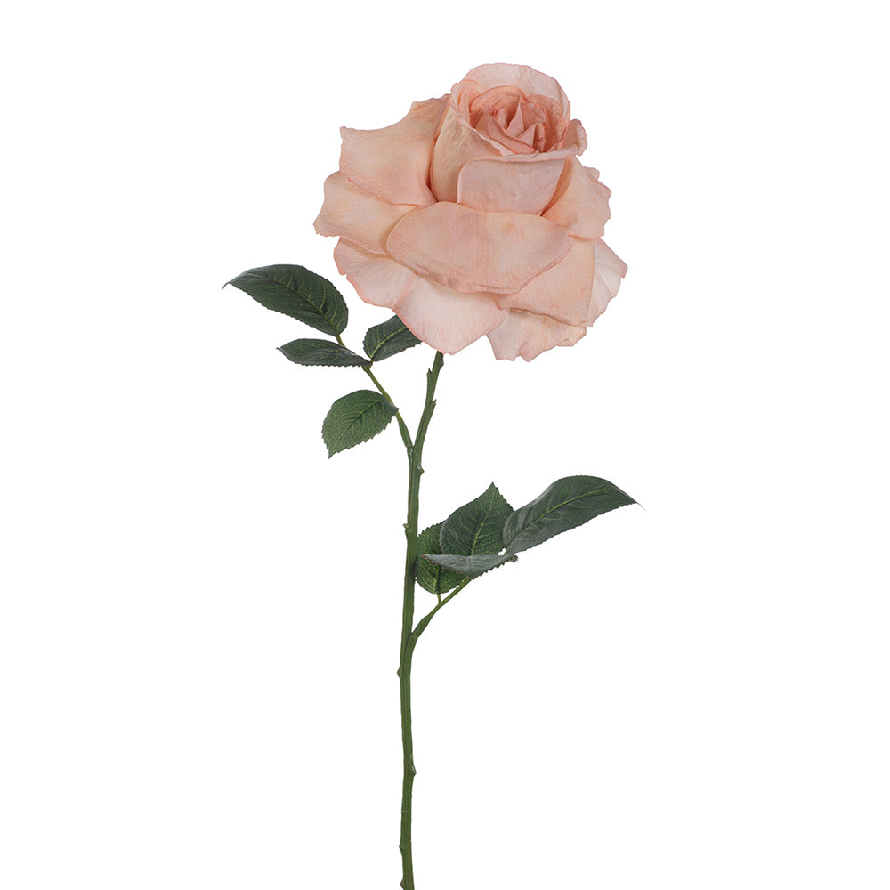 Artificial Rose Calista Stem 66cm Dusty Pink Pack of 12 — Flora Designs ...