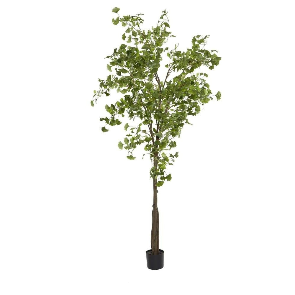 Artificial Ginkgo Tree Potted 240cm — Flora Designs Australia