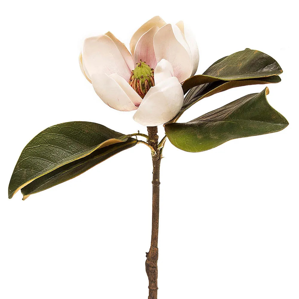Artificial Magnolia Short Stem Light Pink 60cm Pack of 12 — Flora ...