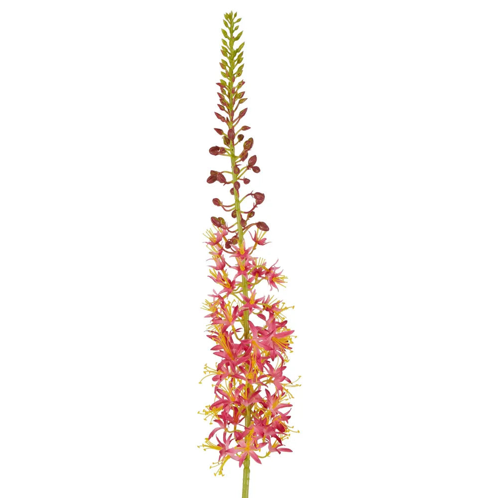 Artificial Eremurus Foxtail Stem Pink 107cm Pack of 12 — Flora Designs ...