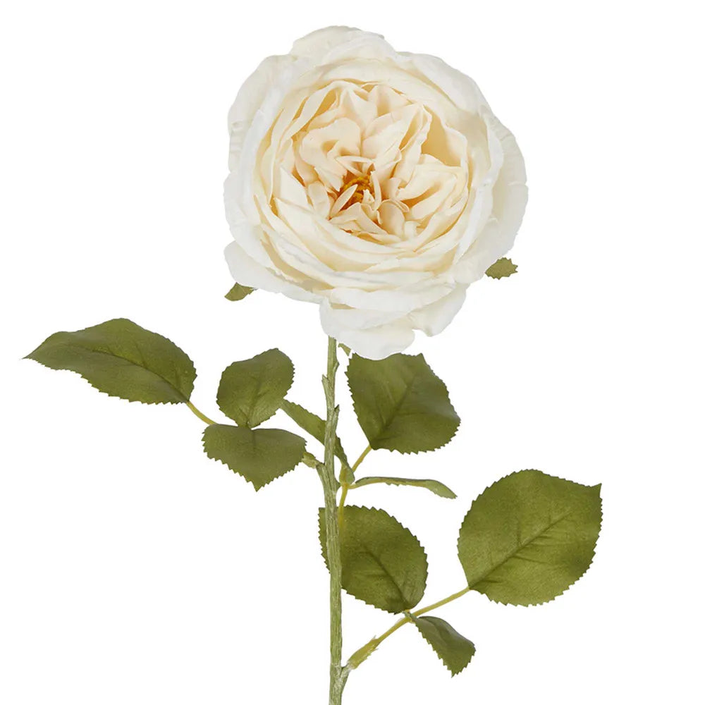 Artificial Rose Single Stem Cream 68cm Pack of 12 — Flora Designs Australia