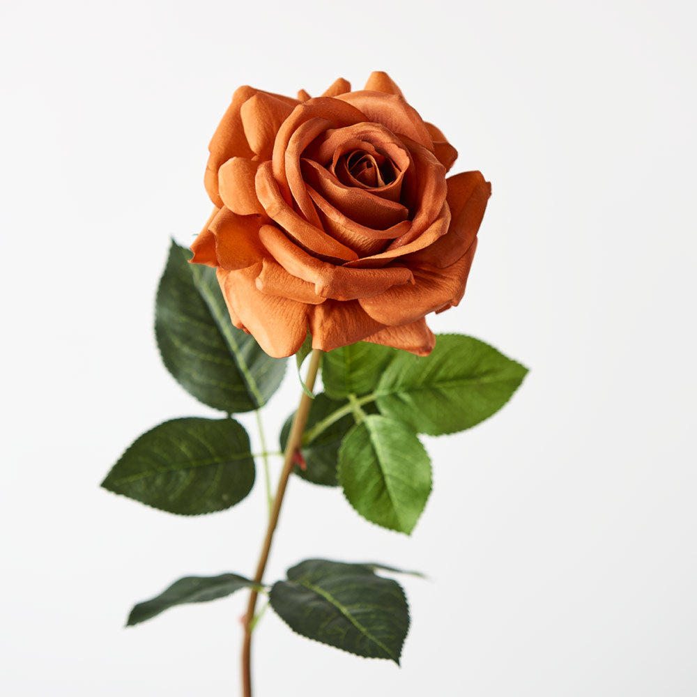 Artificial Rose Hannah Rust 75cm Pack of 12 — Flora Designs Australia